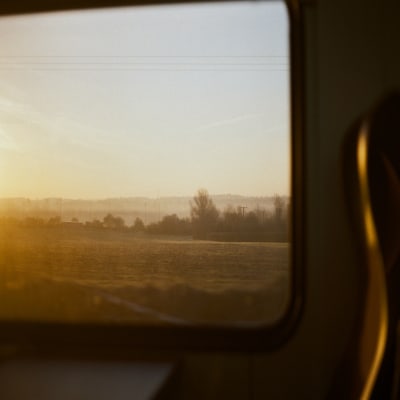 Flo Lines - 'The only thing left is everything'